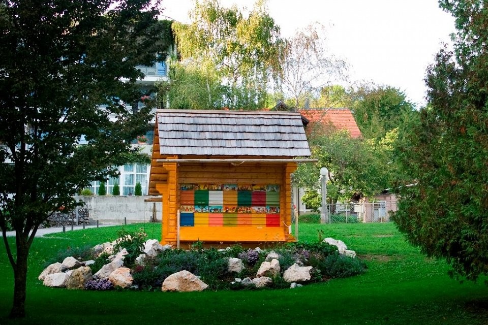 Voden ogled blejske čebelarske poti | Občina Bled | MojaObčina.si