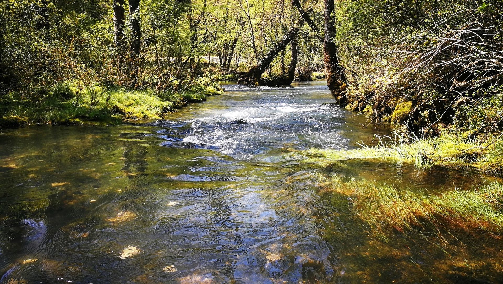 "Hvala iz vsega srca" | Občina Celje | MojaObčina.si