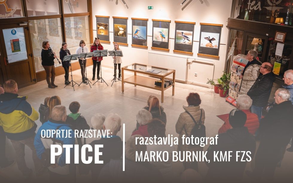 RAZSTAVA: odprtje razstave PTICE – Marko Burnik | Občina Jesenice | MojaObčina.si