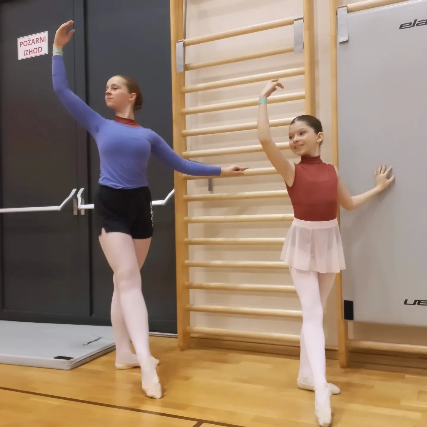 Balet PIZZICATO, LESCE vabi vpisu | Občina Bled | MojaObčina.si