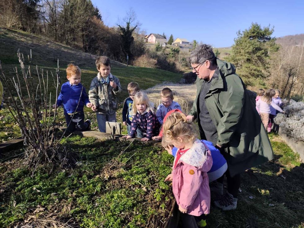 VRTEC SONČNICA NA OBISKU ZELIŠČARSKEGA CENTRA V ŠKOCJANU | Občina ...