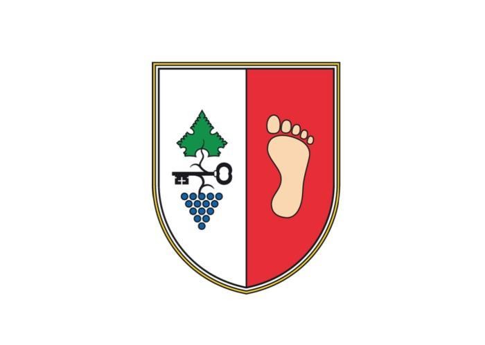 ZBOR OBČANOV OBČINE MOKRONOG-TREBELNO | Občina Mokronog-Trebelno ...