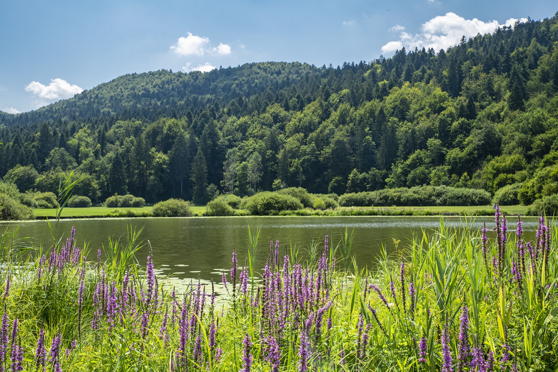 Predstavitev priložnostne znamke Podpeško jezero | Občina Brezovica | MojaObčina.si
