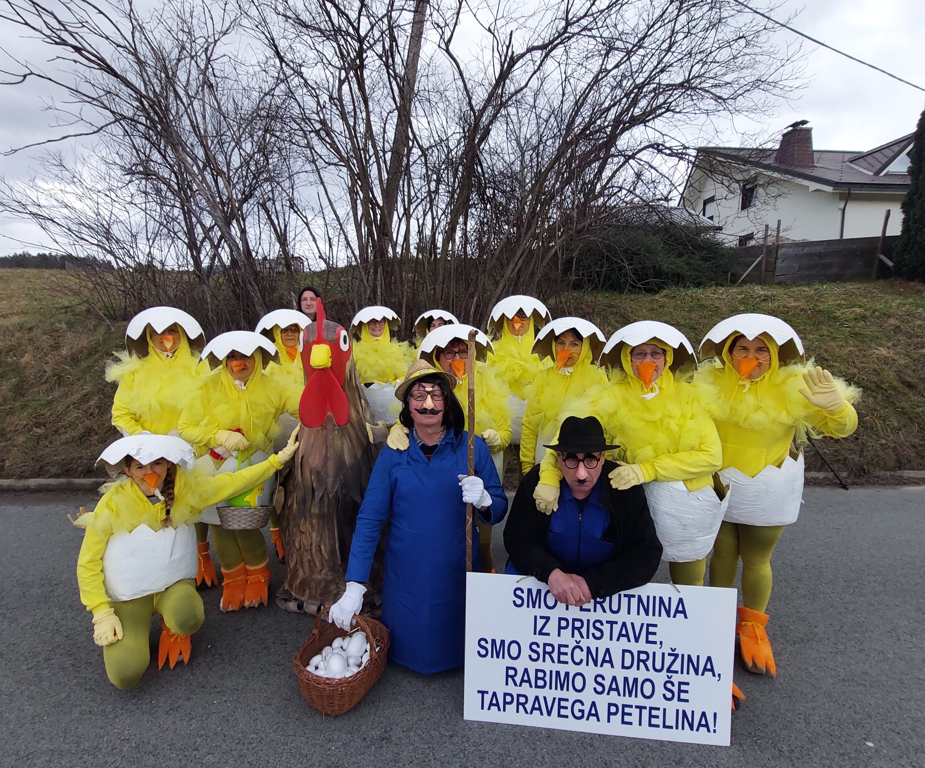 Društvo Dobra volja na karnevalu | Občina Vojnik | MojaObčina.si