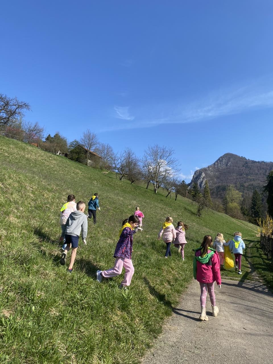 Skupaj za čistejši kraj – POŠ Socka | Občina Vojnik | MojaObčina.si