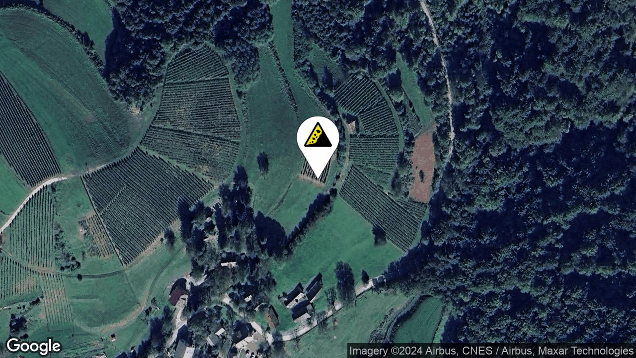 Plazovi, udori, zdrsi, podori zemljin in kamnin 27. 6. 2024 15.19 ...