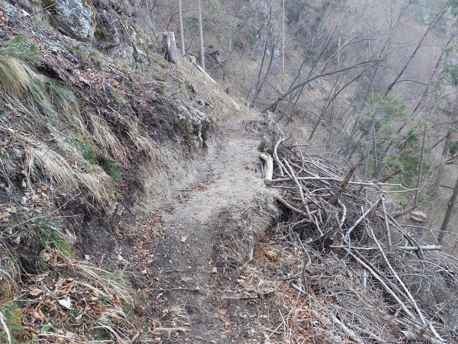 Urejanje pohodnih poti | Občina Bled | MojaObčina.si