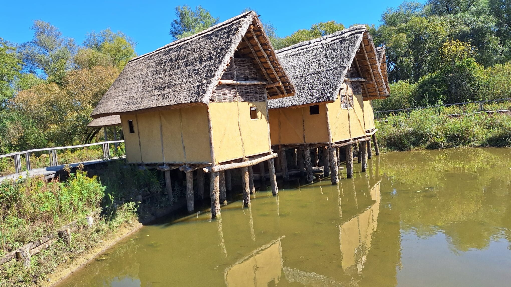 S krožkom Spoznavanje narave na obisk h koliščarjem | Občina Ajdovščina | MojaObčina.si