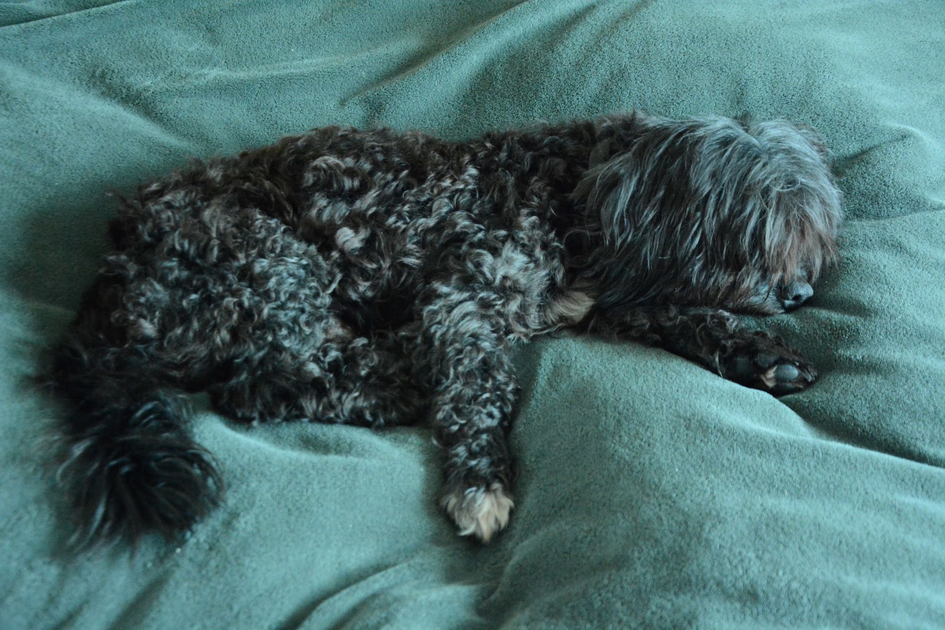 VRNITEV KIMIJA | Občina Komenda | MojaObčina.si