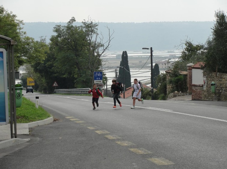 Policijska kronika - maj 2023 | Občina Polzela | MojaObčina.si