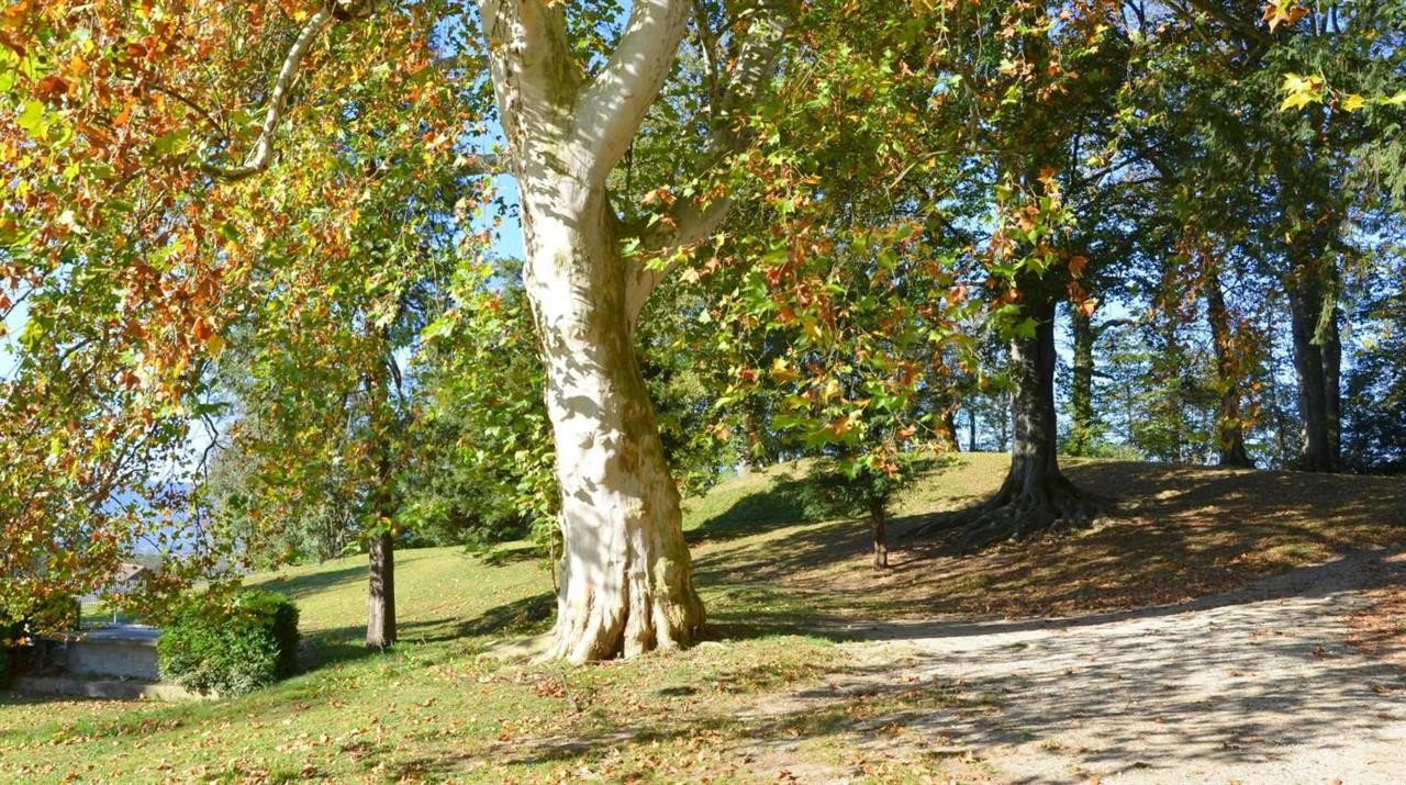 Jesen v naravi, jesen v življenju | Občina Polzela | MojaObčina.si