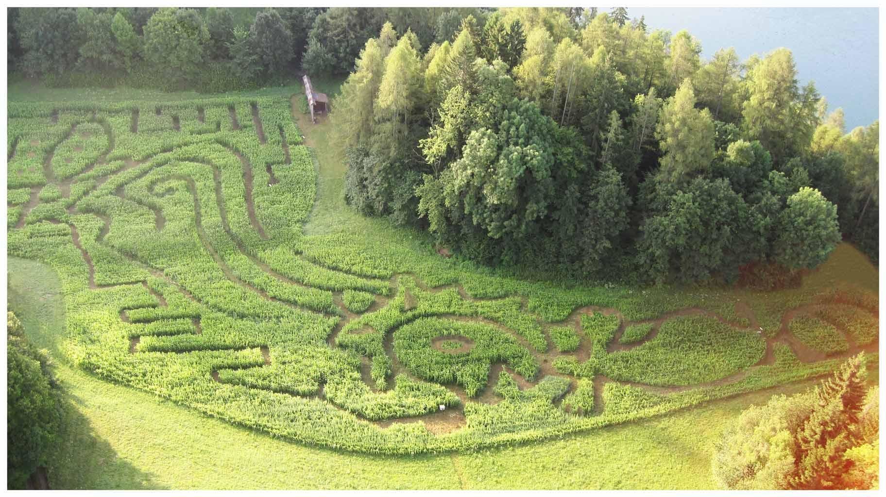 Tematski park v naravi Labirint Bled 2012 | Občina Bled | MojaObčina.si