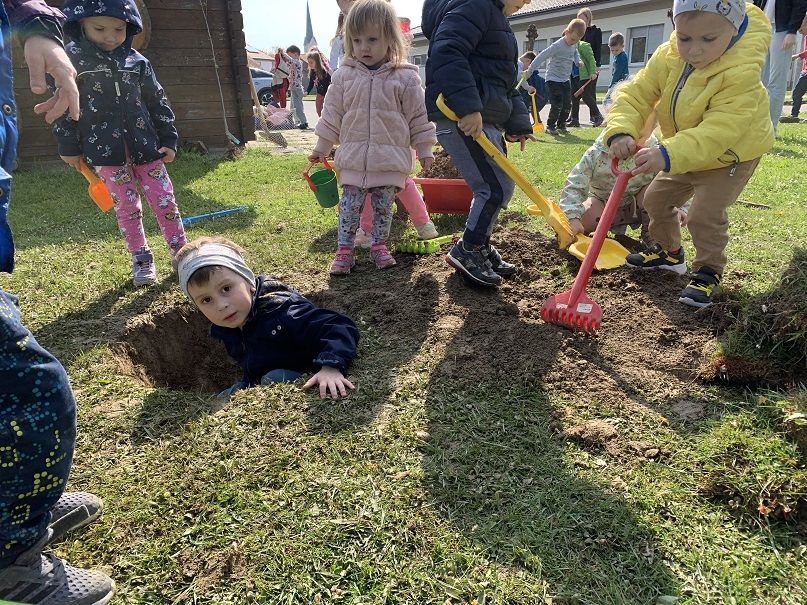 OB SVETOVNEM DNEVU ZEMLJE SMO V VRTCU SADILI SADNO DREVJE | Občina Križevci | MojaObčina.si
