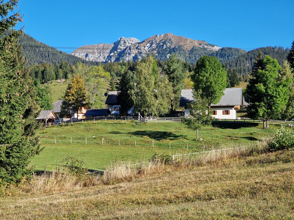 Planinsko društvo Polzela ima balkanske prvake v planinski orientaciji ...