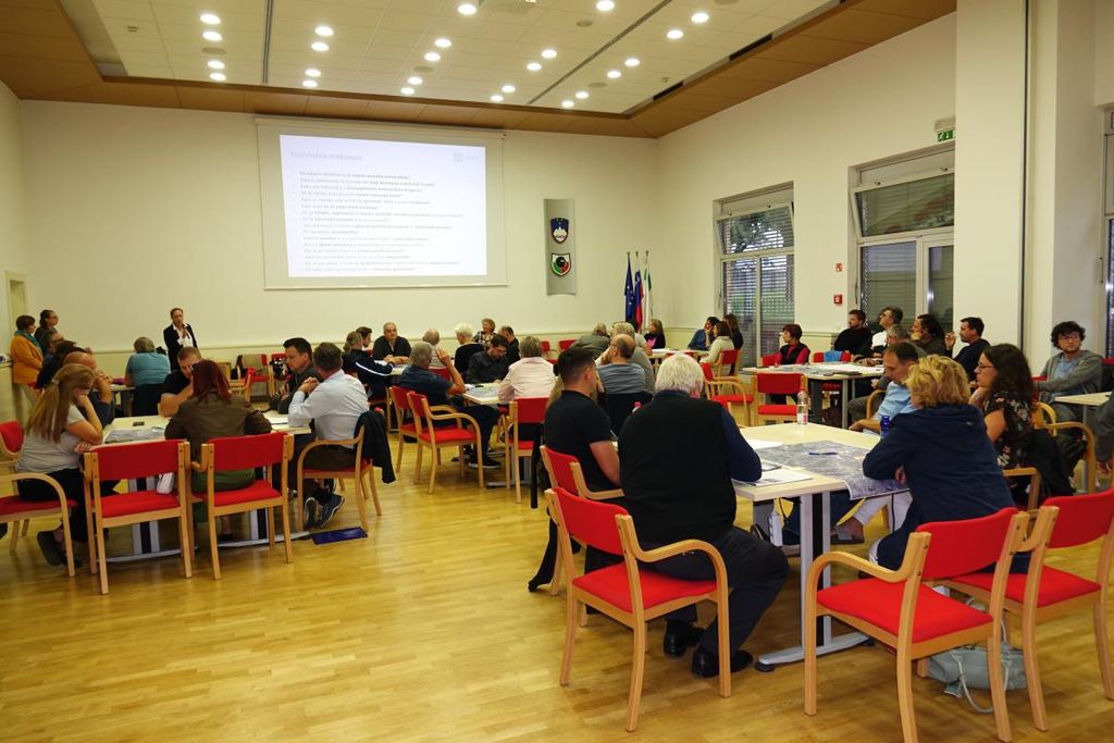 Delavnica o analizi stanja in viziji prostorskega razvoja mesta Grosuplje in Šmarja - Sapa ...