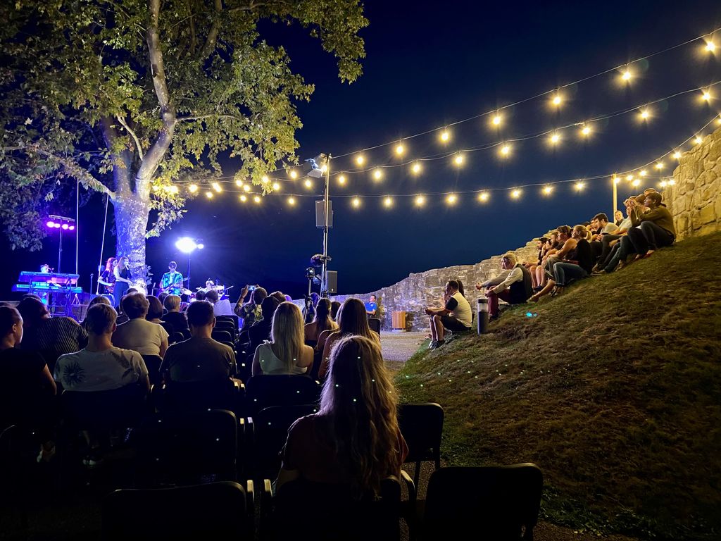 Odličen rokovski koncert mlade skupine Raptors Rock Band | Občina ...