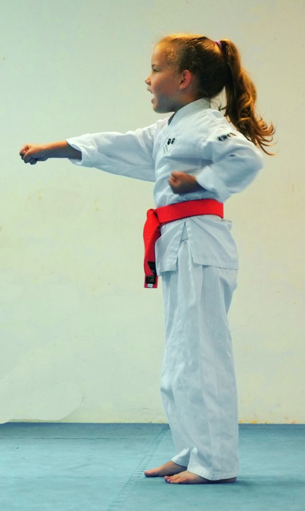 KARATE VPIS 2022 - začetni tečaj Zelena jama - dogodki v občini ...