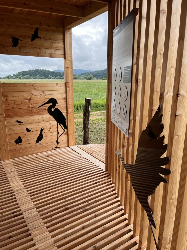 Novo doživetje na Ljubljanskem barju: Odprli so Pot na Mah | Občina Log - Dragomer | MojaObčina.si