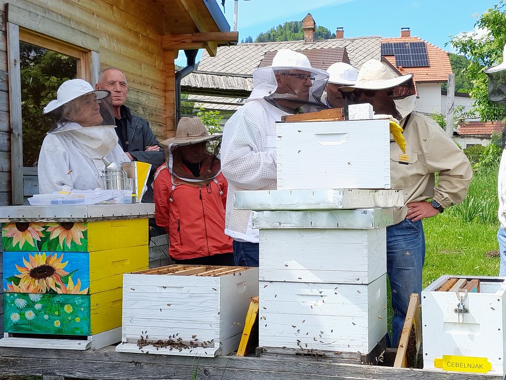 Voden ogled blejske čebelarske poti | Občina Bled | MojaObčina.si