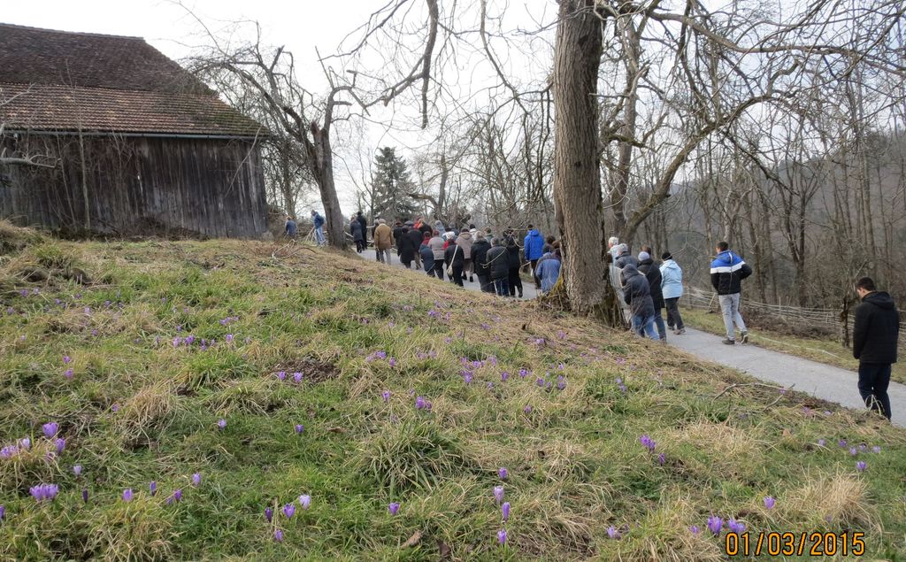 Pepelnica - dogodki v občini Log - Dragomer | MojaObčina.si