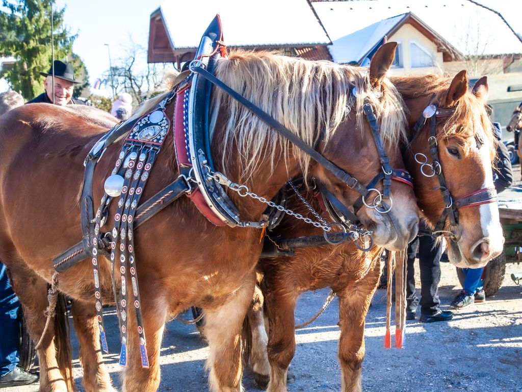 Blagoslov konj v čudovitem zimskem prazničnem dnevu | Občina Horjul | MojaObčina.si