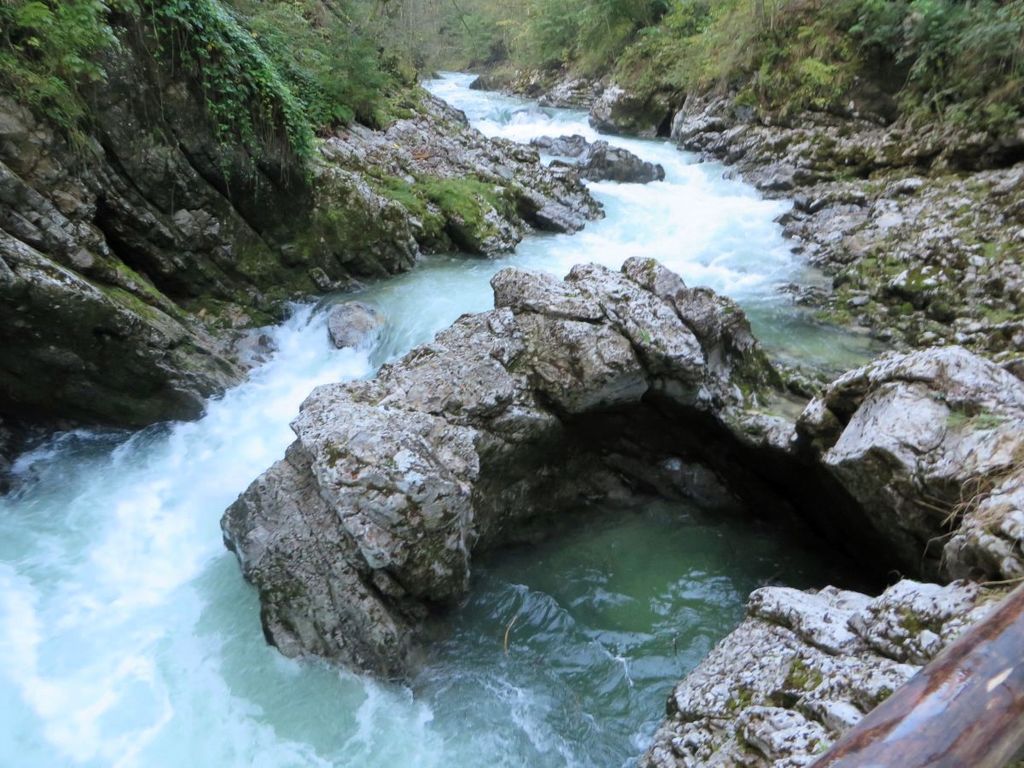 Sončki v Soteski Vintgar | Občina Vrhnika | MojaObčina.si