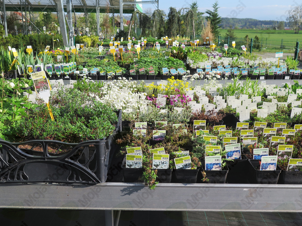 EUROGARDNOVI VRTNI DNEVI | Občina Dobrova-Polhov Gradec | MojaObčina.si