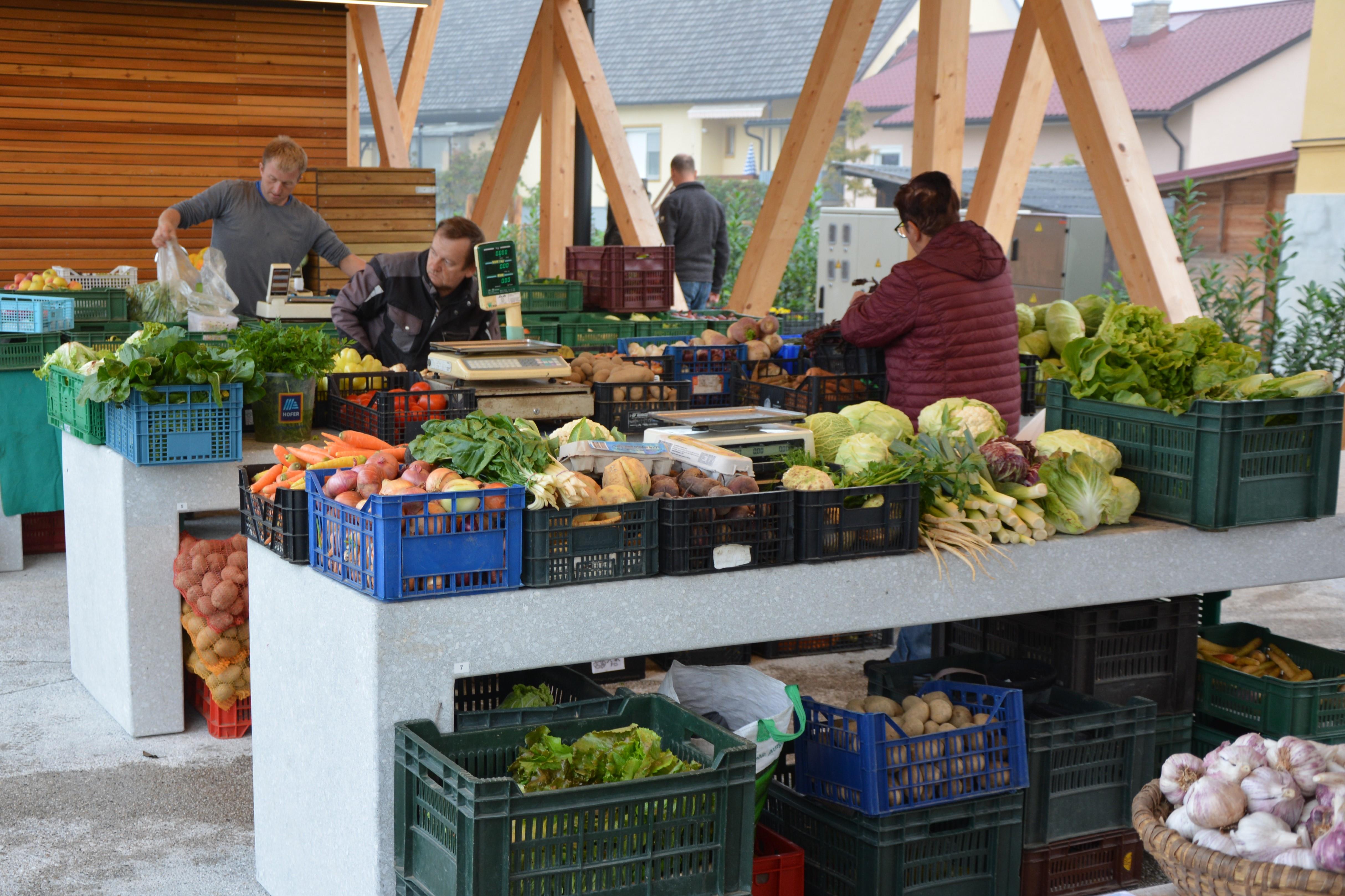Dobava zdrave lokalne hrane v vrtec in šole | Občina Medvode ...